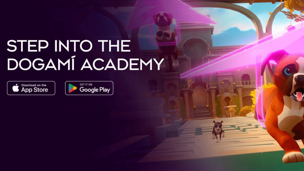 Dogami Seeks Buyer Following Financial Setback | GAM3S.GG